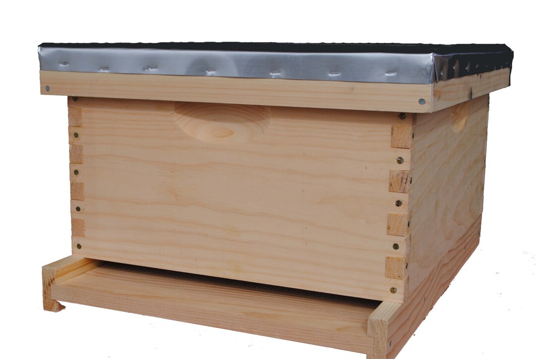DIY Complete Bee Hive Kit With Frames and Beeswax Coated Foundation ...