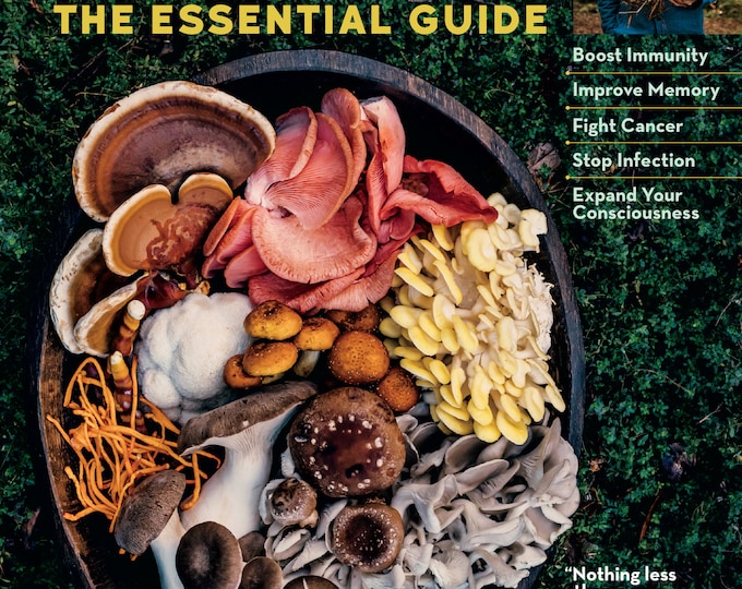Christopher Hobbss Medicinal Mushrooms: the Essential Guide Book - Etsy