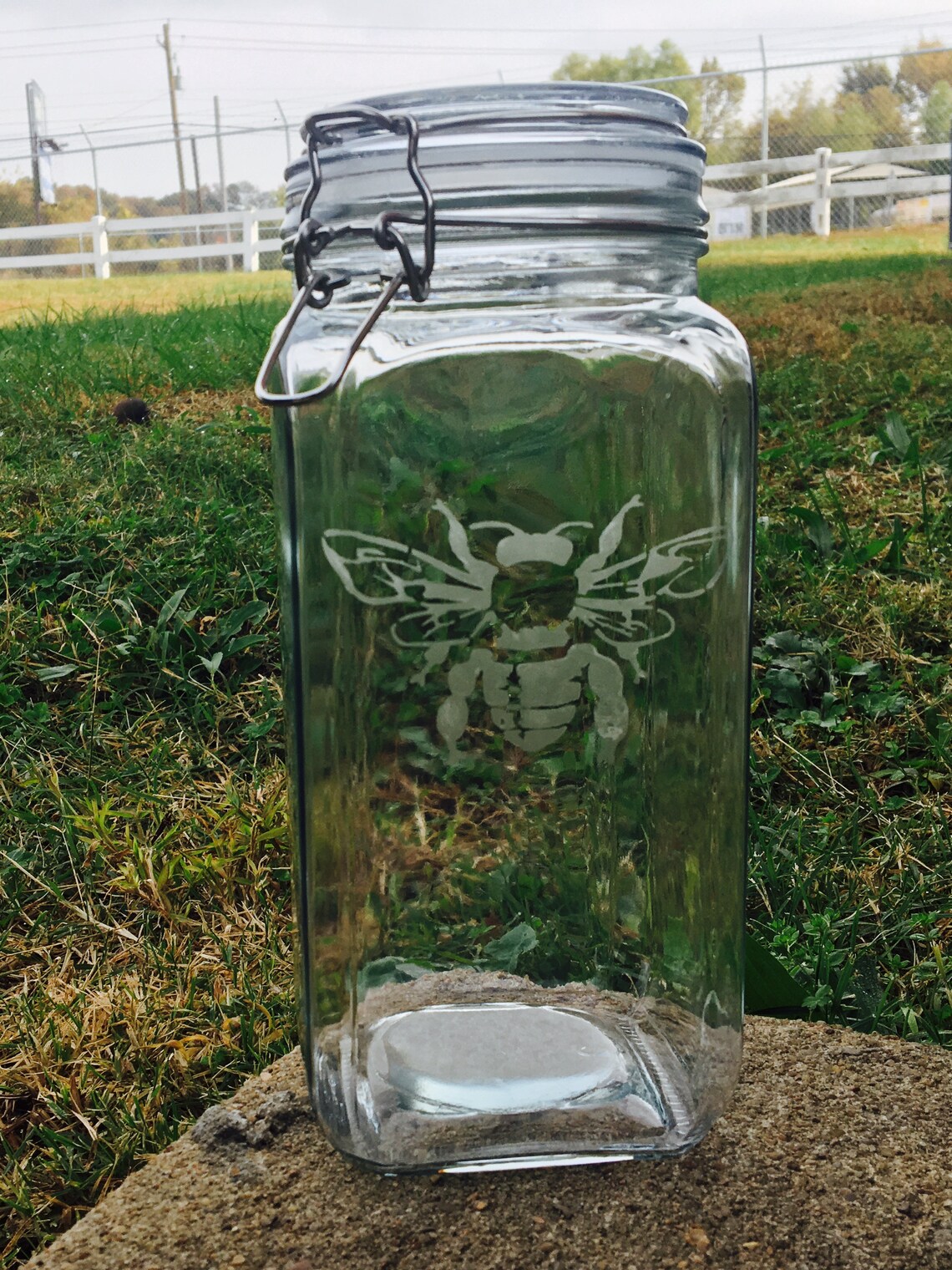 Etched Honey Bee Glass Canister With Lid, Cool Beekeeper Gift ...