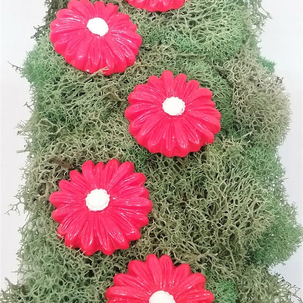 Mini Stepping Stones - Etsy