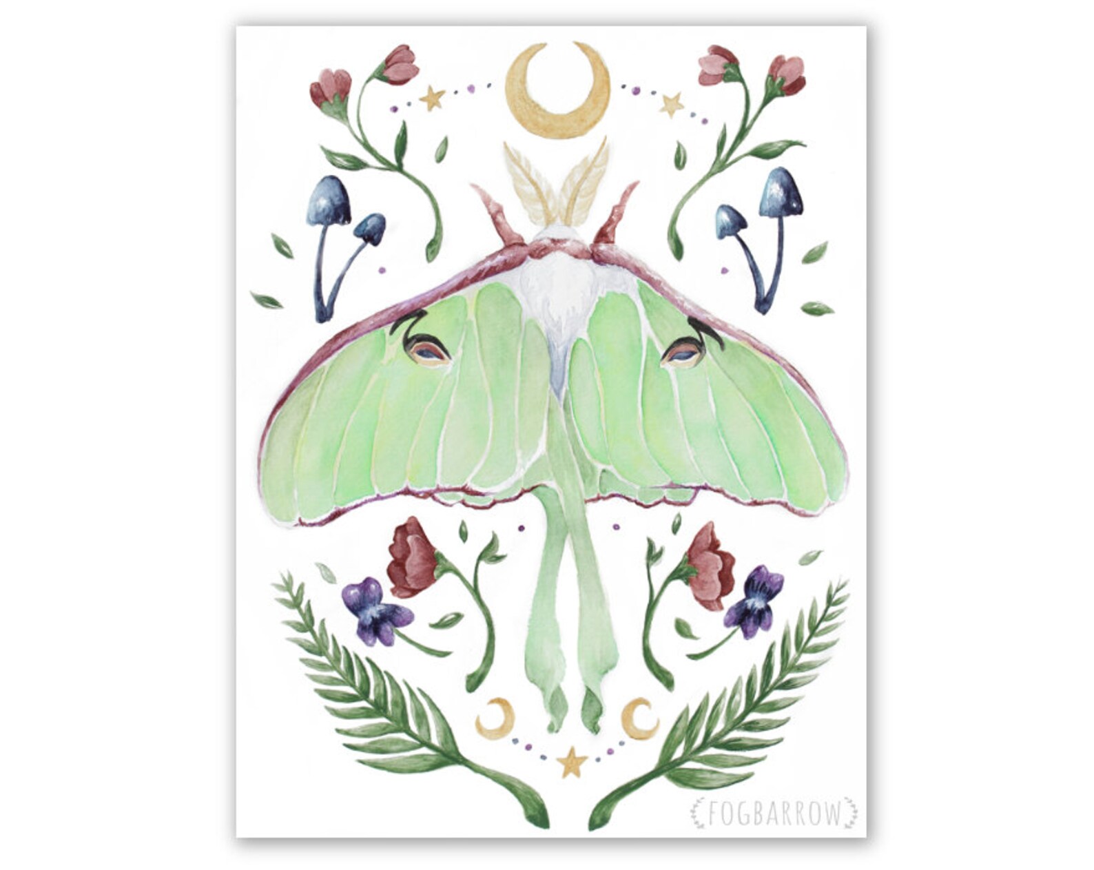 Luna Moth Botanical Watercolor Print - Etsy
