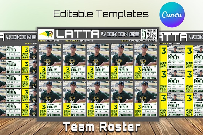 Customizable Premier Editable Player Profiles, Softball, Baseball ...