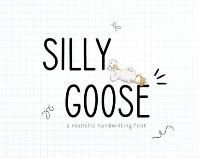Silly Goose Font, Handwritten Script Font, Procreate Font, Retro Font ...