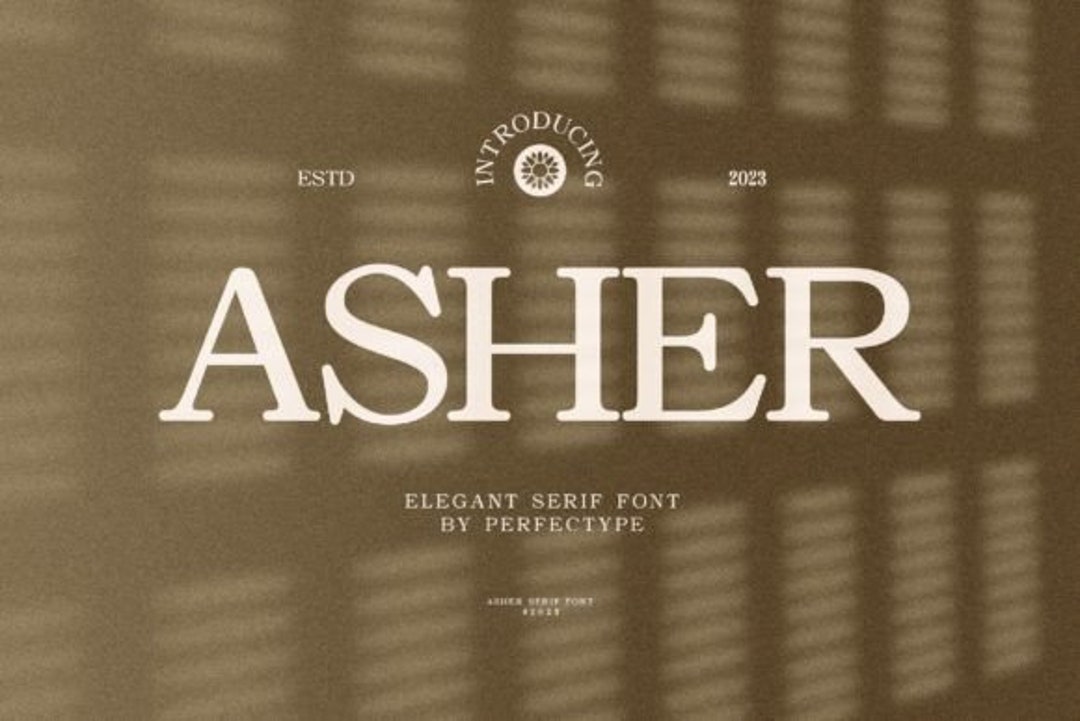 Asher Font, Handwritten Script Font, Procreate Font, Retro Font, Modern ...