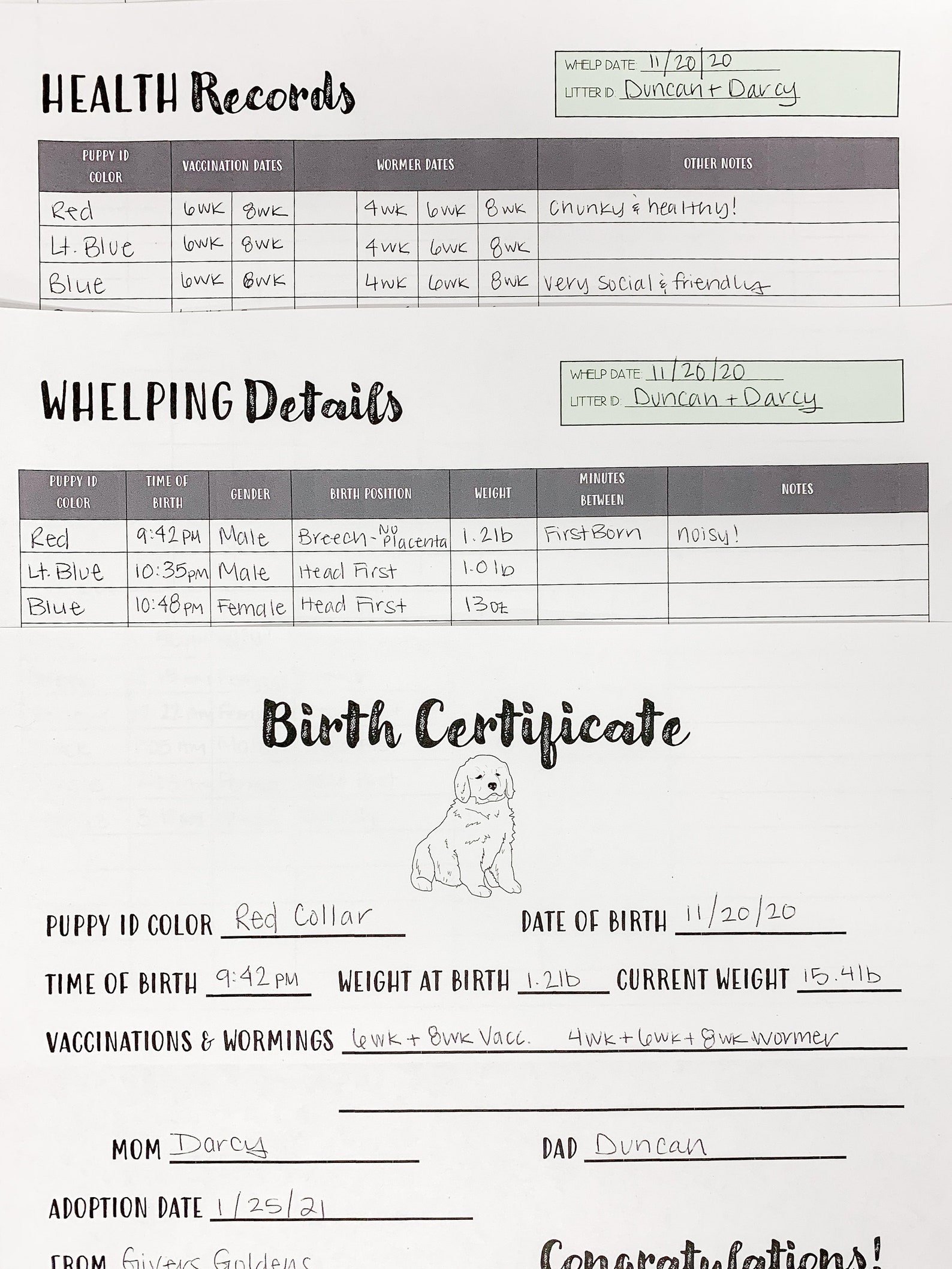 Whelping Record Keeping Document Bundle-dog Breeders | Etsy