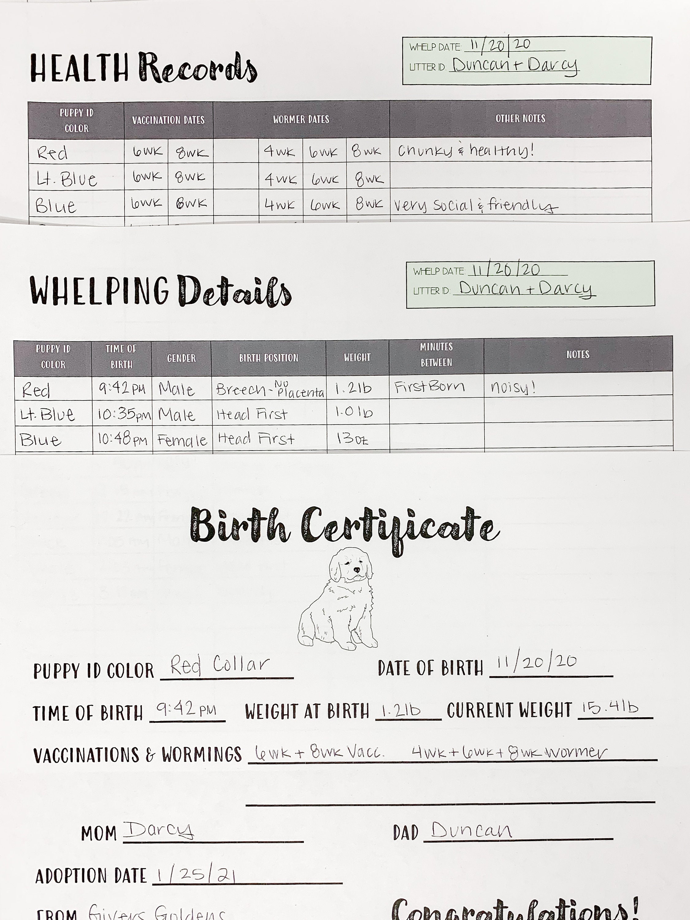 Whelping Record Keeping Document Bundle-dog Breeders | Etsy