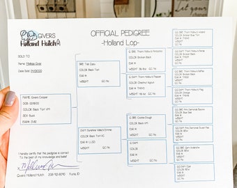 Rabbit Pedigree Template - Etsy