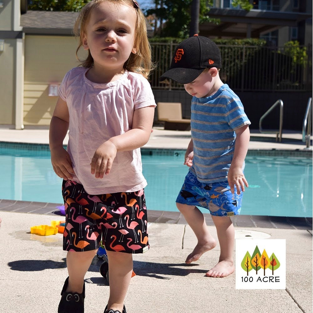 Hot Pink Flamingo Shorts for Girls- Pink, Light Pink and Coral Flamingo ...