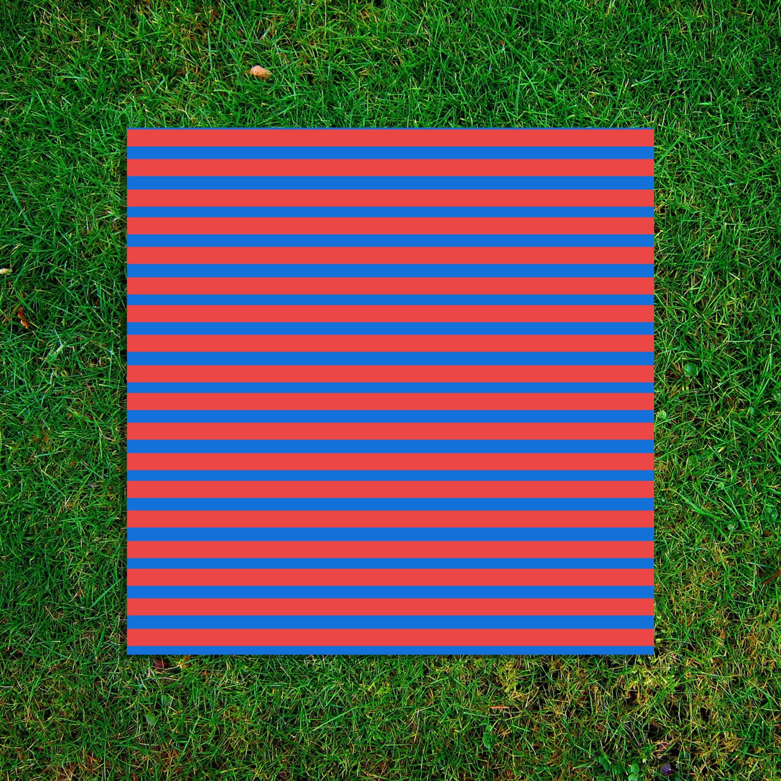 Jelly Fish Digital Paper Jelly Fish Clipart Sea Animals - Etsy