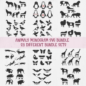 Animal Monogram SVG Bundle, 28 Packs Contain More Than 189 Cutting ...
