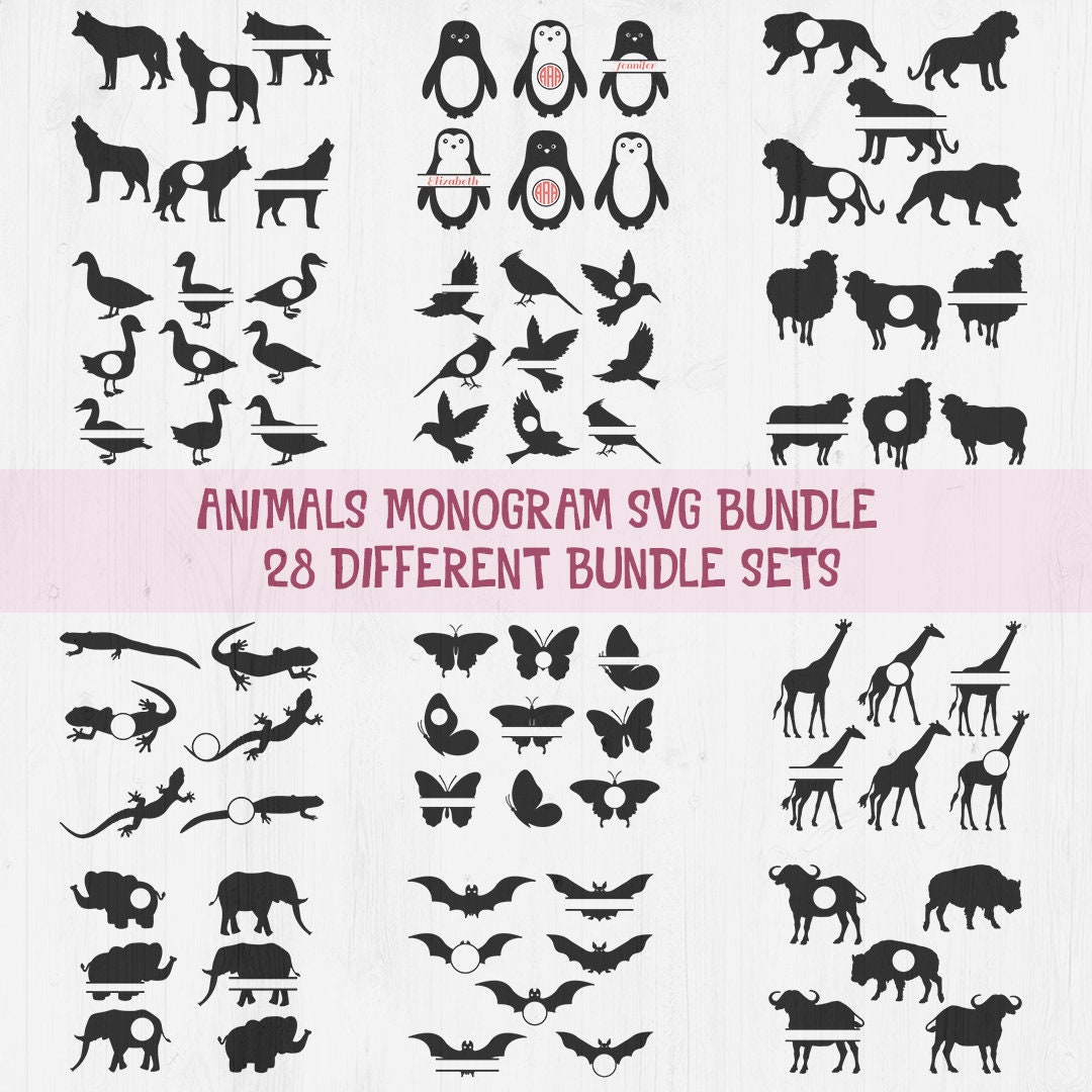 Animal Monogram SVG Bundle 28 Packs Contain More Than 189 - Etsy