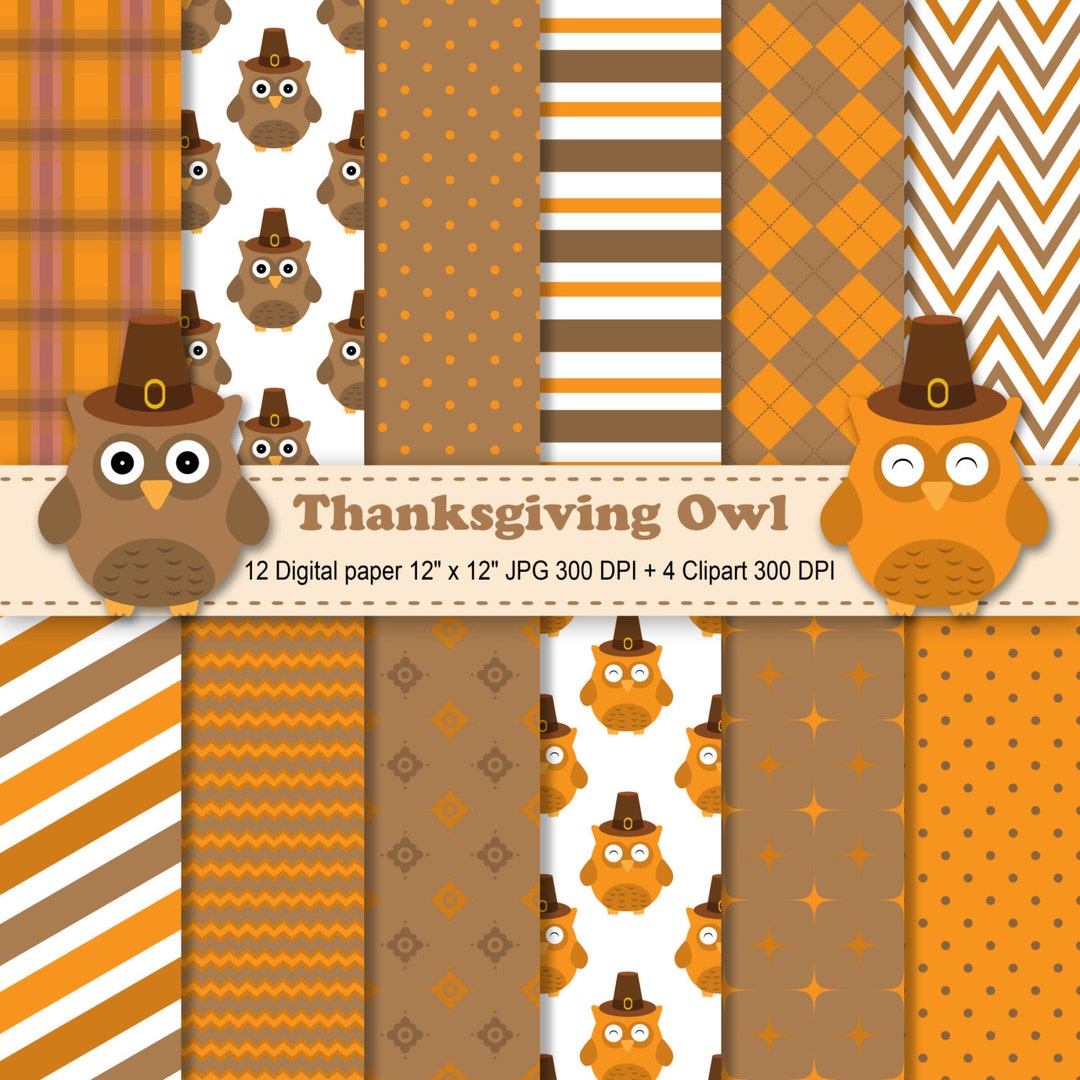 Thanksgiving Owls Digital Paper, Thanksgiving Owls Clipart, Fall ...