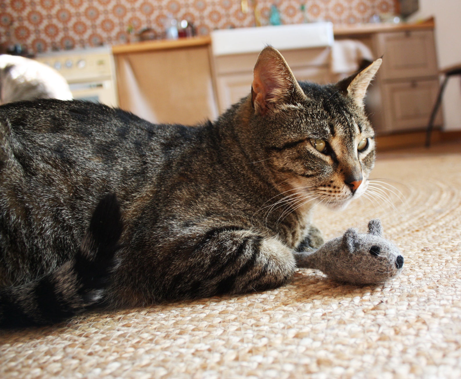 Felted Mouse Cat Toy, Natural Wool, Handmade in Italy - Etsy