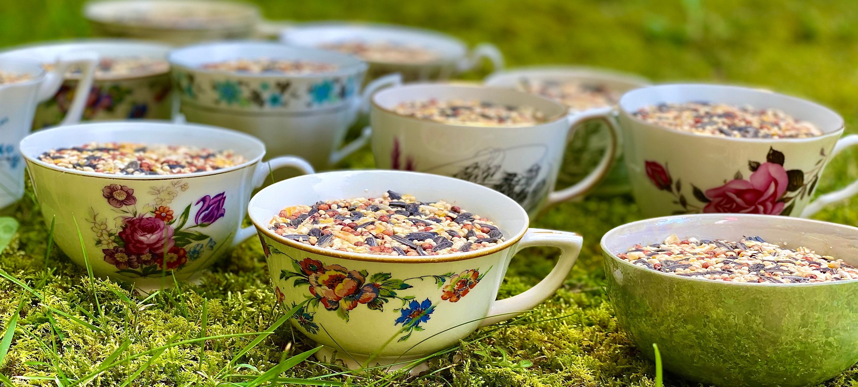 Tea cup bird feeder bird feeders tea cup suet feeder suet | Etsy