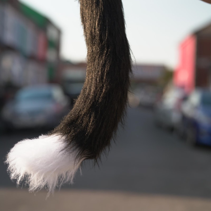 Fluffy Cat Tail for Kids - Etsy UK