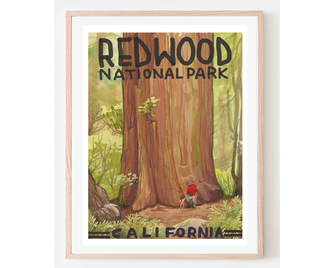 Redwood National Park Travel Poster- Redwoods Travel Art, California ...