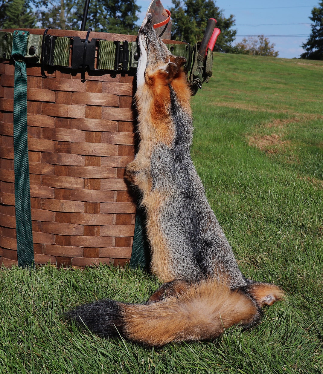Gray Fox Pelt Garment Tanned, Authentic, Natural Fur 4 - Etsy