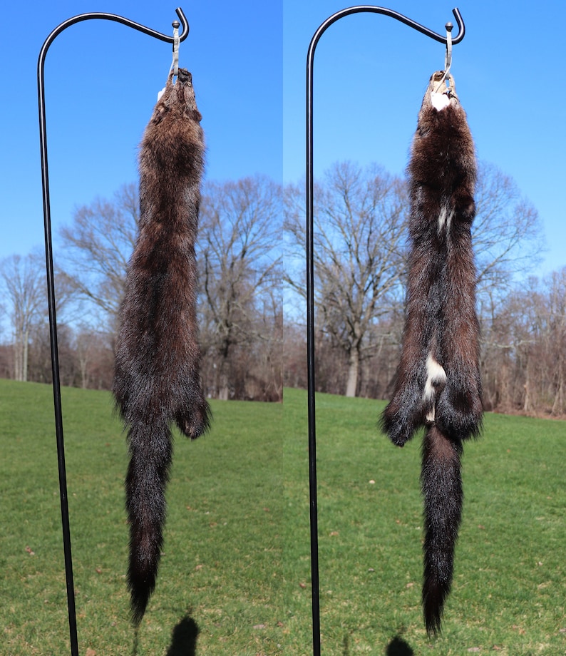 Luxurious Fisher Pelt, Garment Tanned, Authentic, Natural Fur 1 - Etsy
