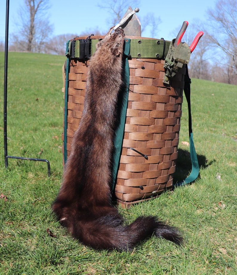 Luxurious Fisher Pelt, Garment Tanned, Authentic, Natural Fur 1 - Etsy