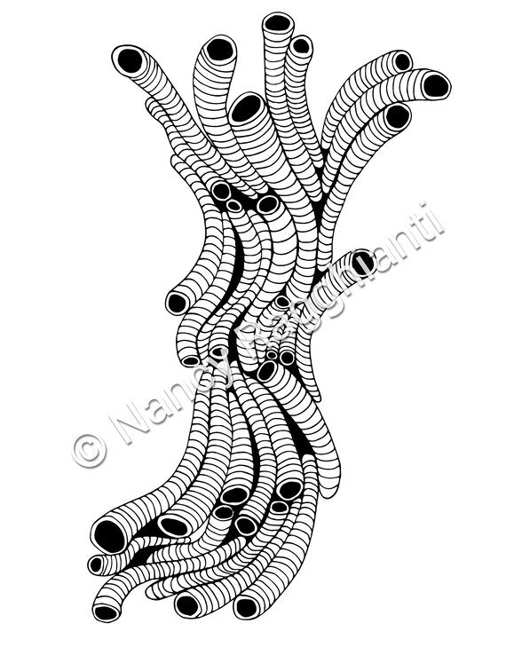 Printable Coloring Page Digital Download Totally Tubular | Etsy