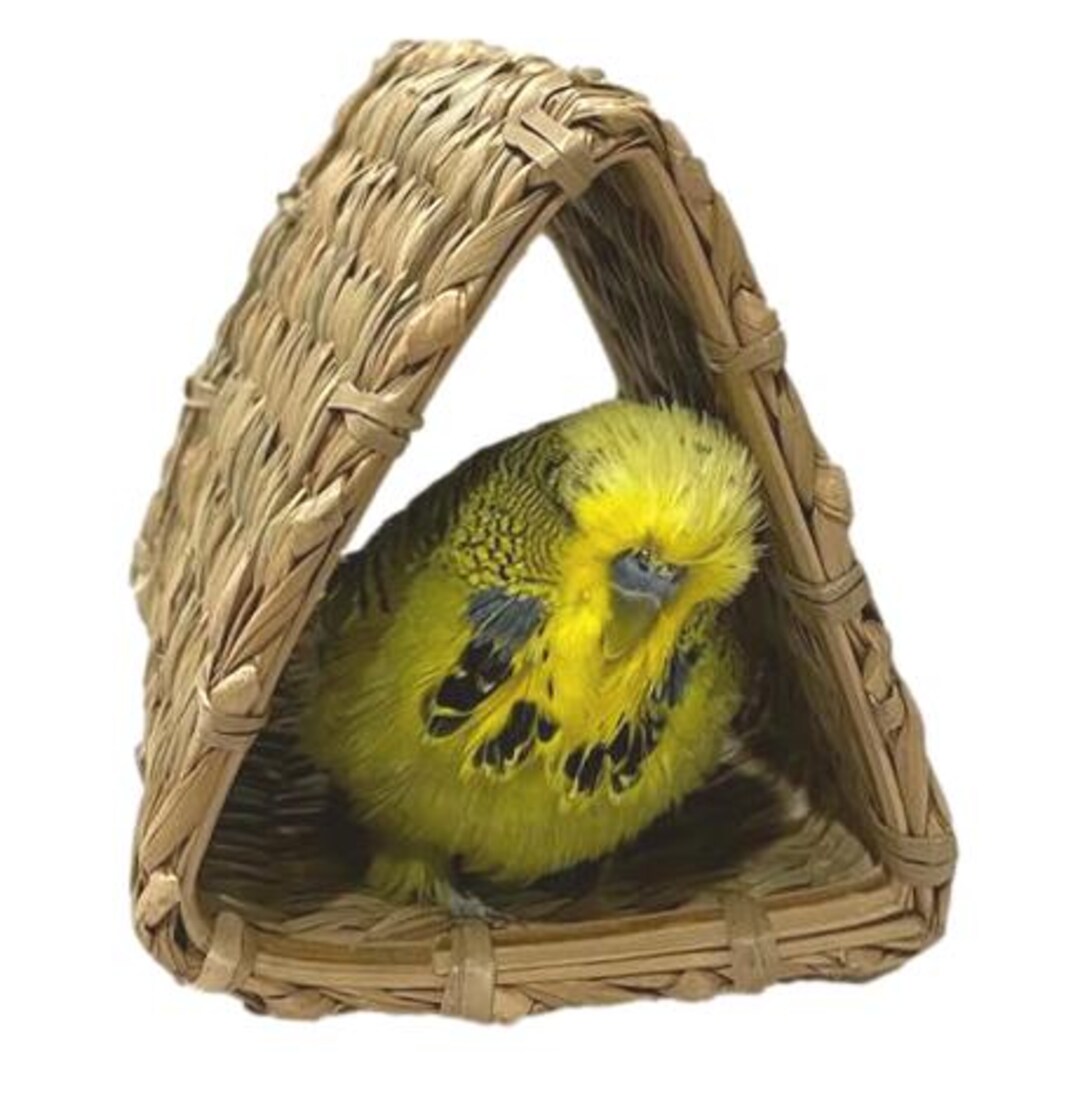 Make Your Own Small Size Bird Tent - Handmade Seagrass Bird Tent Toy ...