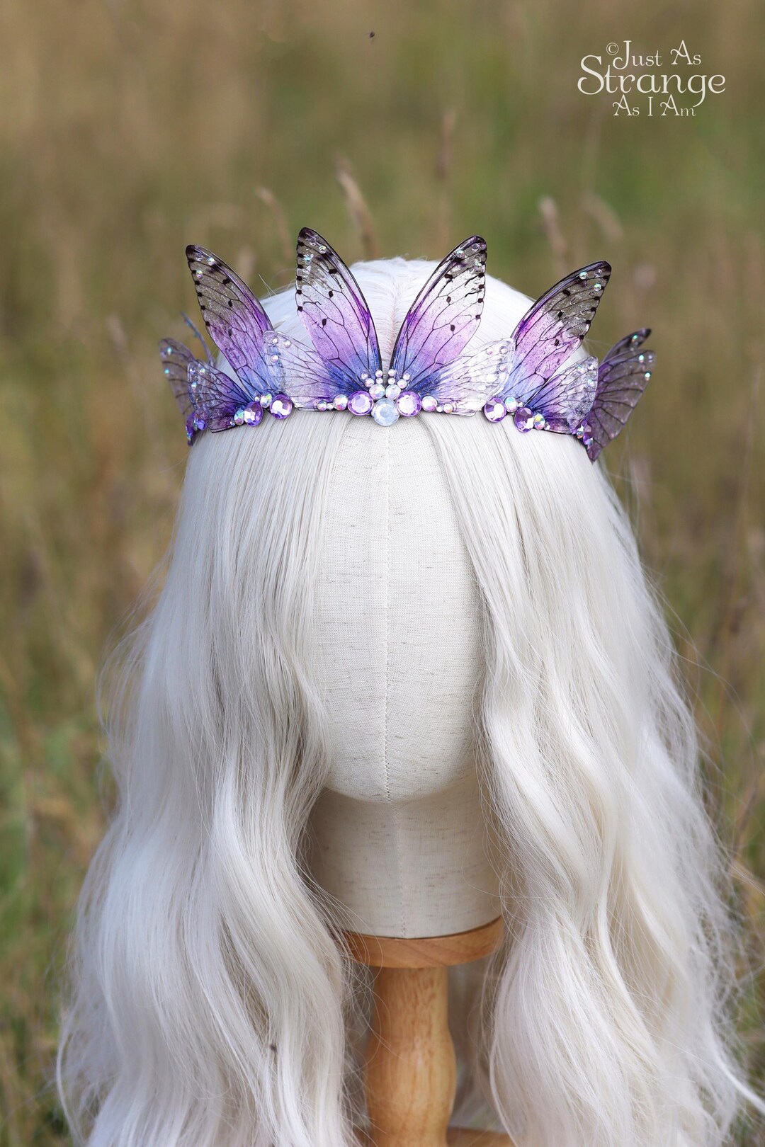 Spring Purple Butterfly Cicada Wing Tiara: Fantasy Fairy Costume Crown ...