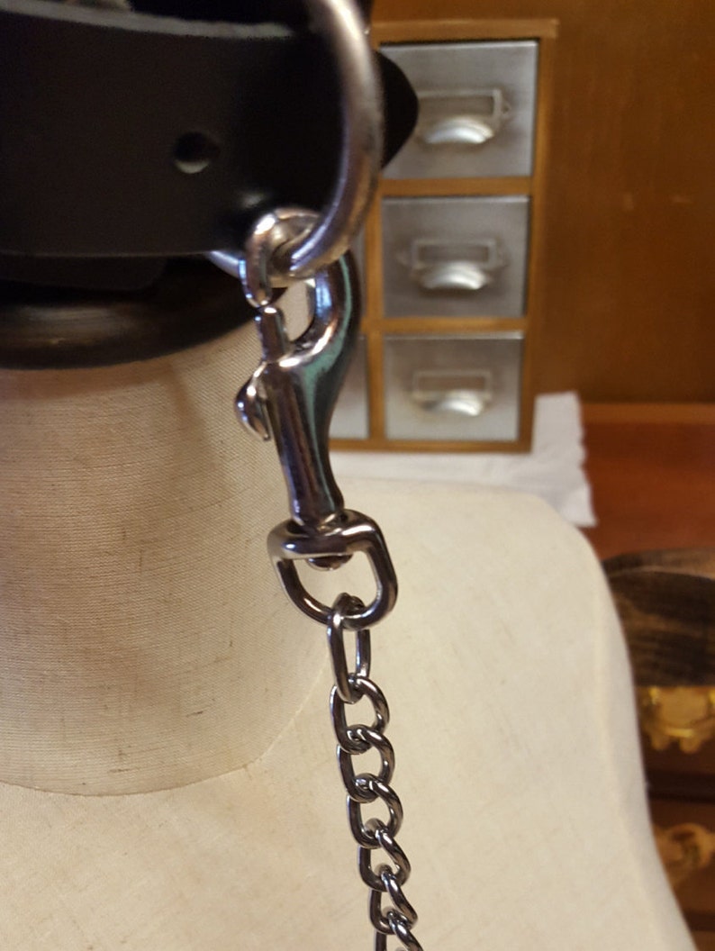 BDSM Leash, Bondage Leash, Sex Toys, Adult Toys, Pet Play, Restraints ...