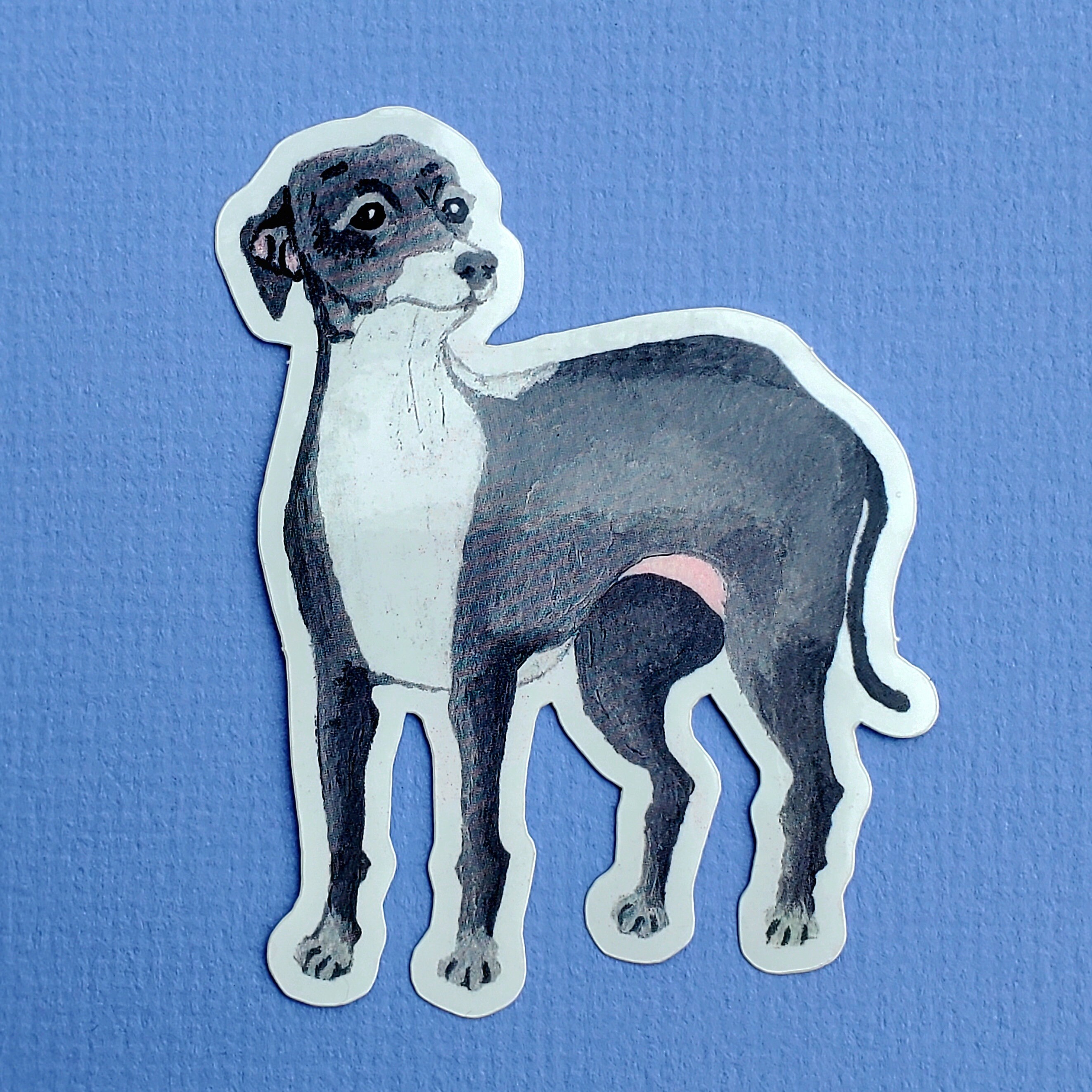 Italian Greyhound Sticker, Dog Stickers,dog Themed Stickers, Julien ...