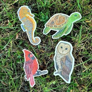Sea Turtle Sticker, Turtle Stickers, Hydro Flask Stickers, Aesthetic ...