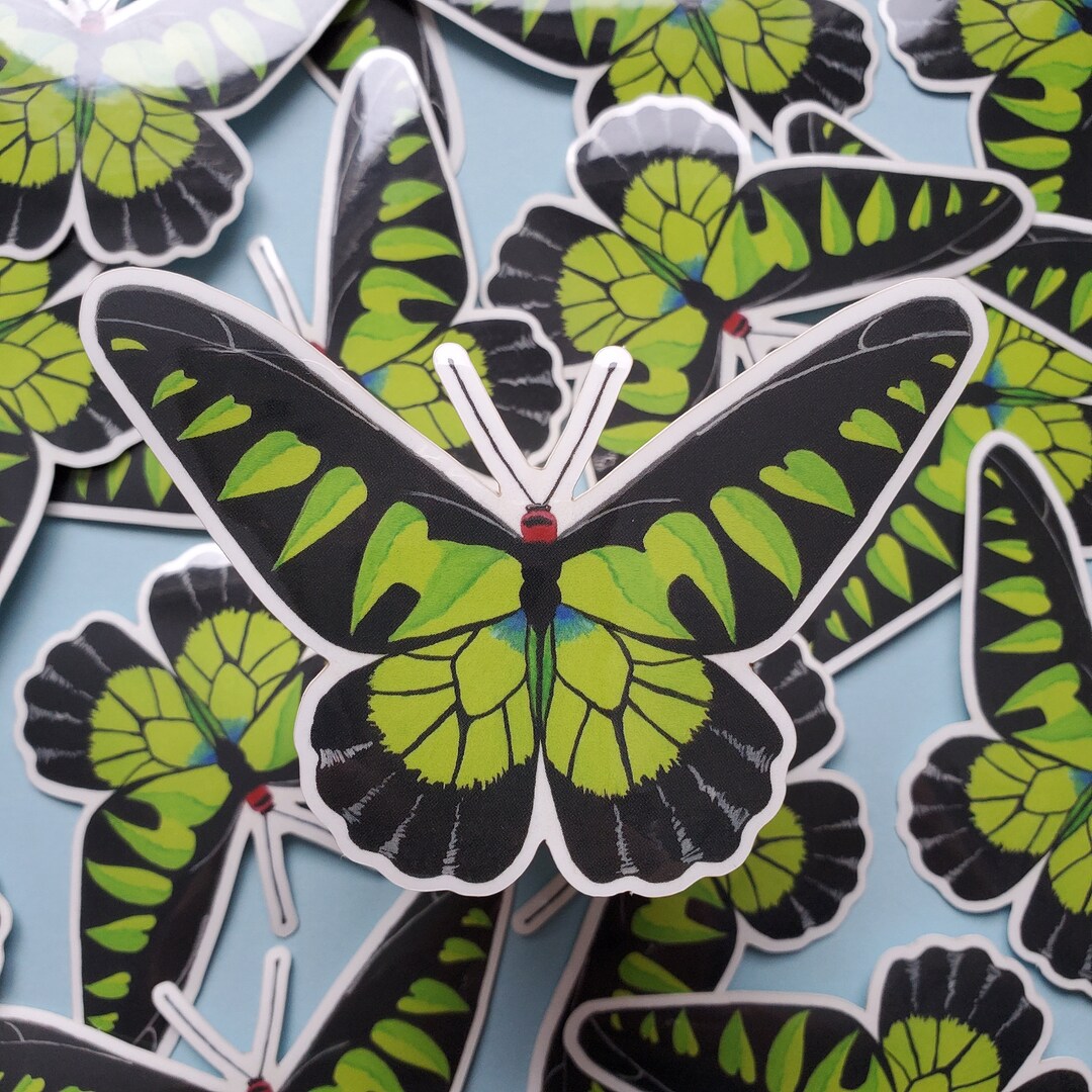 Rajah Brooke's Birdwing Butterfly Sticker, Butterfly Stickers, Hydro ...
