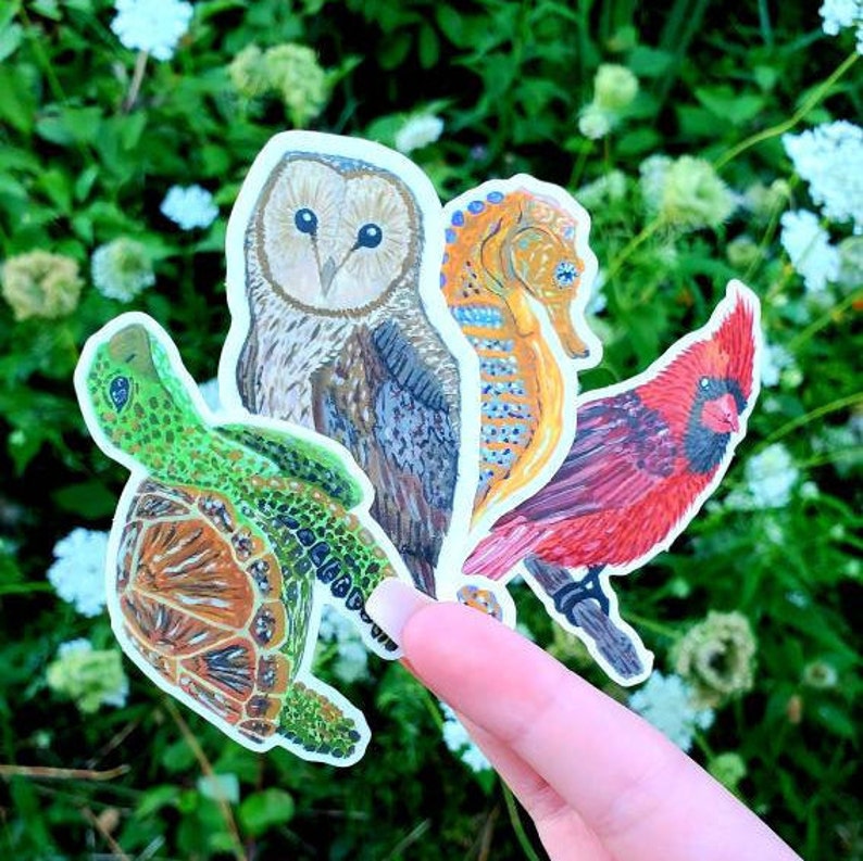 Sea Turtle Sticker, Turtle Stickers, Hydro Flask Stickers, Aesthetic ...