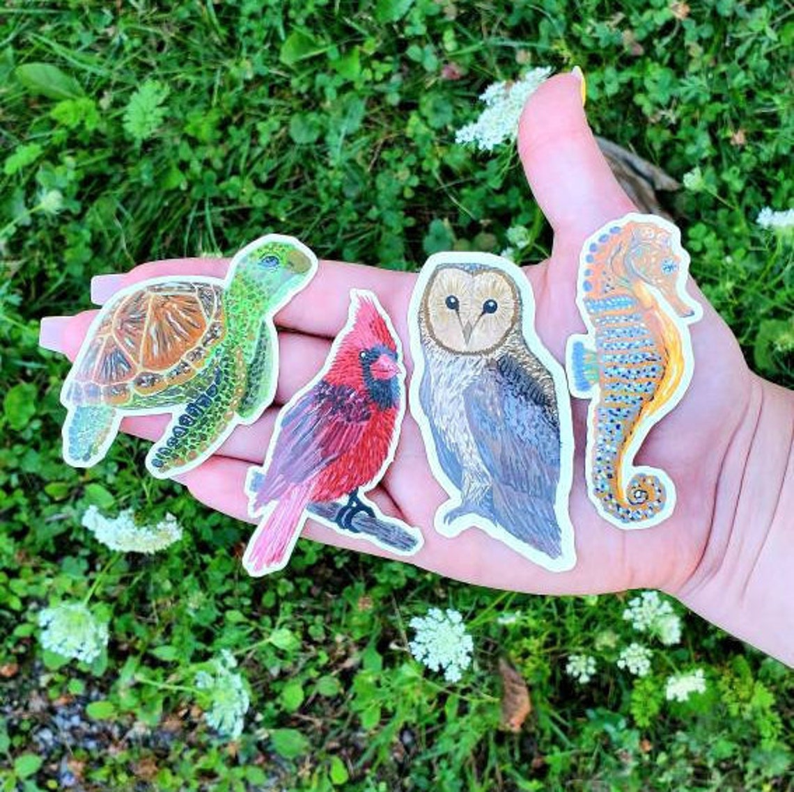 Sea Turtle Sticker, Turtle Stickers, Hydro Flask Stickers, Aesthetic ...