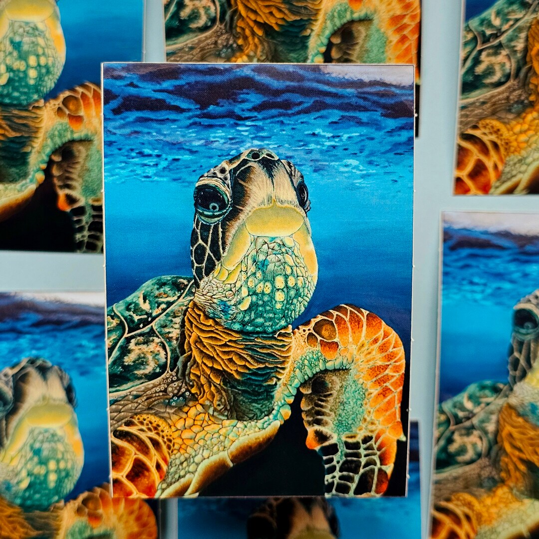 Sea Turtle Sticker, Turtle Shark Sticker, Hydro Flask Stickers, Stanley ...