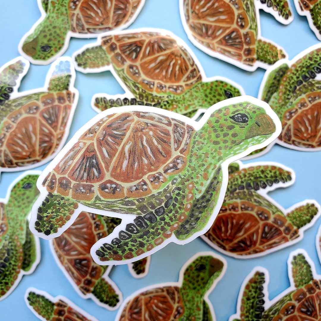 Sea Turtle Sticker, Turtle Stickers, Hydro Flask Stickers, Aesthetic ...