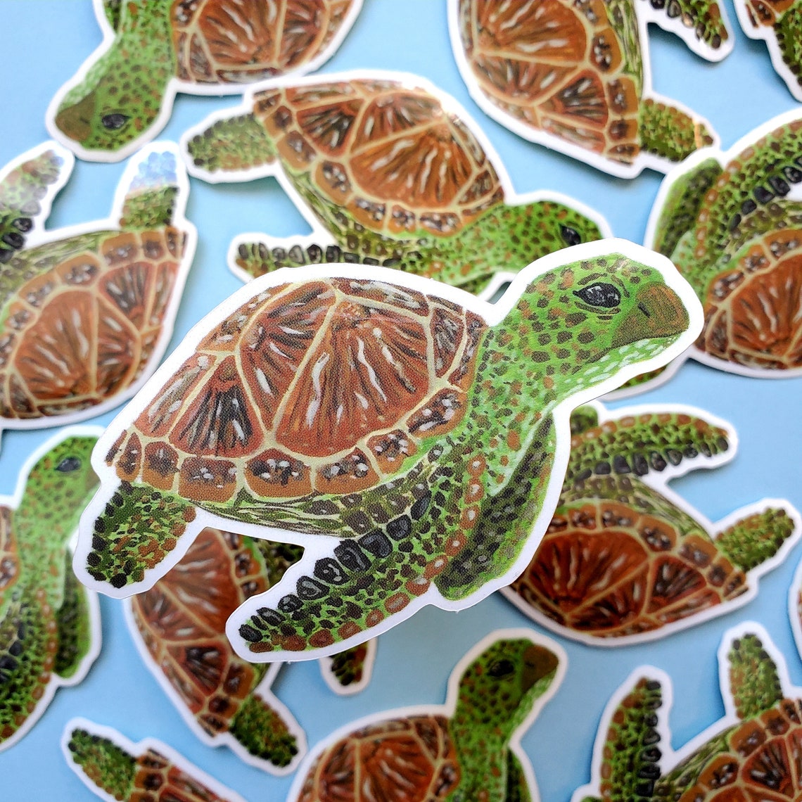 Sea Turtle Sticker, Turtle Stickers, Hydro Flask Stickers, Aesthetic ...