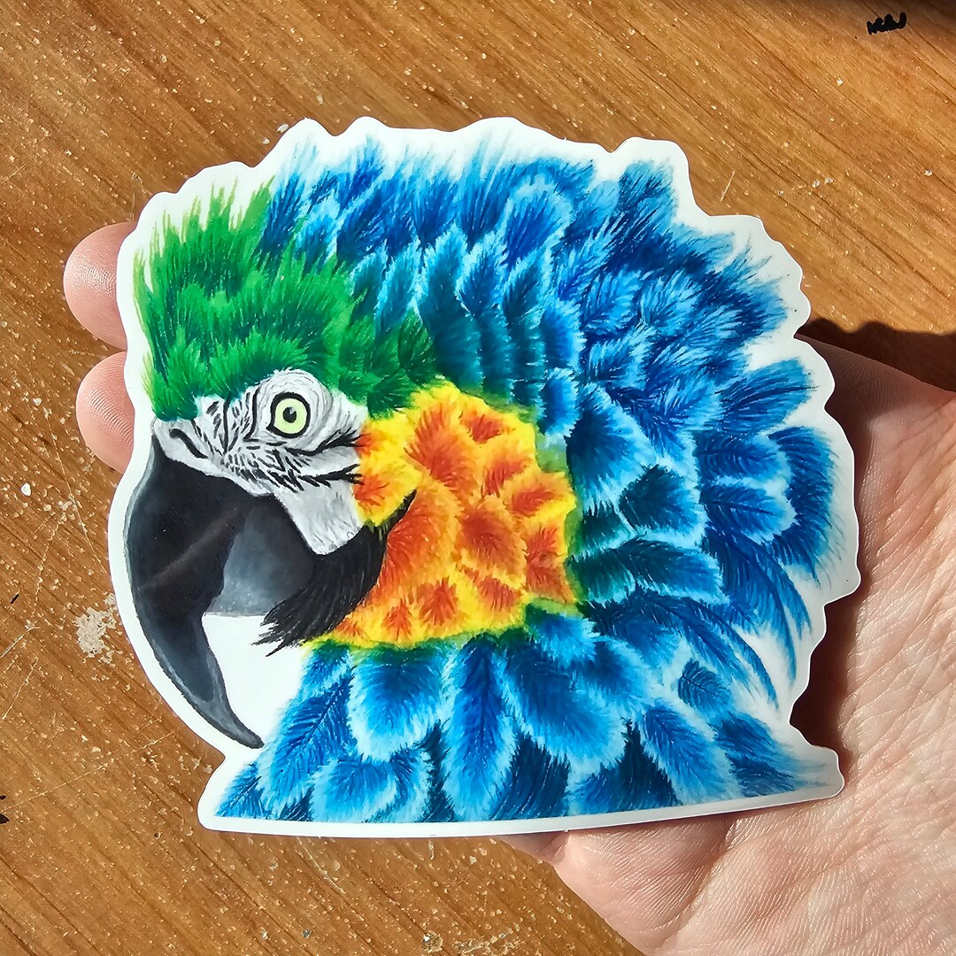 Blue and Gold Macaw Sticker, Macaw Sticker, Bird Stickers, Parrot ...
