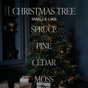 Christmas Tree Reed Diffuser | Christmas Reed Diffuser | Holiday Reed ...