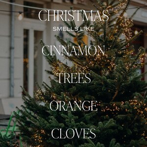 Christmas Reed Diffuser | Pine Scented Oil Diffuser Bottle | Holiday ...