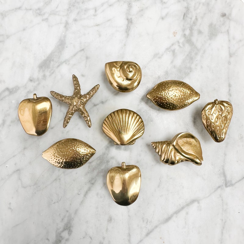 Seashell Knobs - Etsy