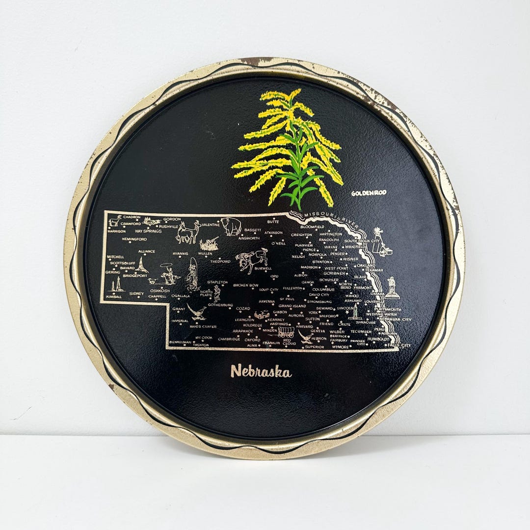 Vintage Nebraska State Tray, Mid Century State Tray, Vintage Drink Tray ...