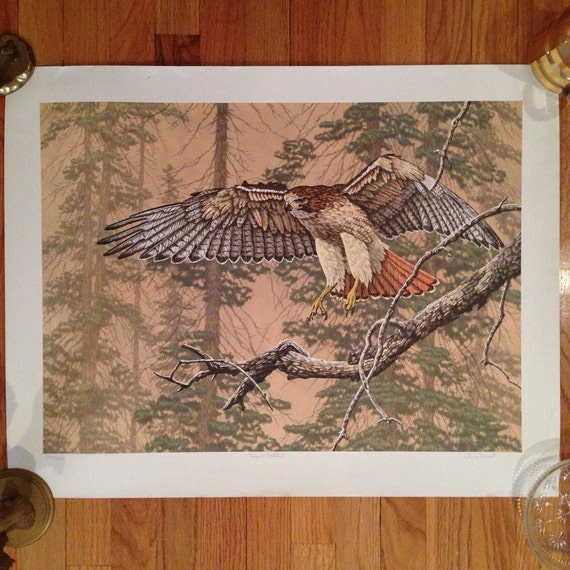Vintage Wildlife Print by Wildlife Artist Chris Forrest | Etsy