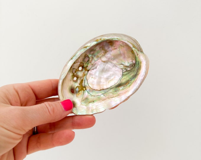 Vintage Mother of Pearl Abalone Shell, Vintage Seashell Dish, Vintage ...