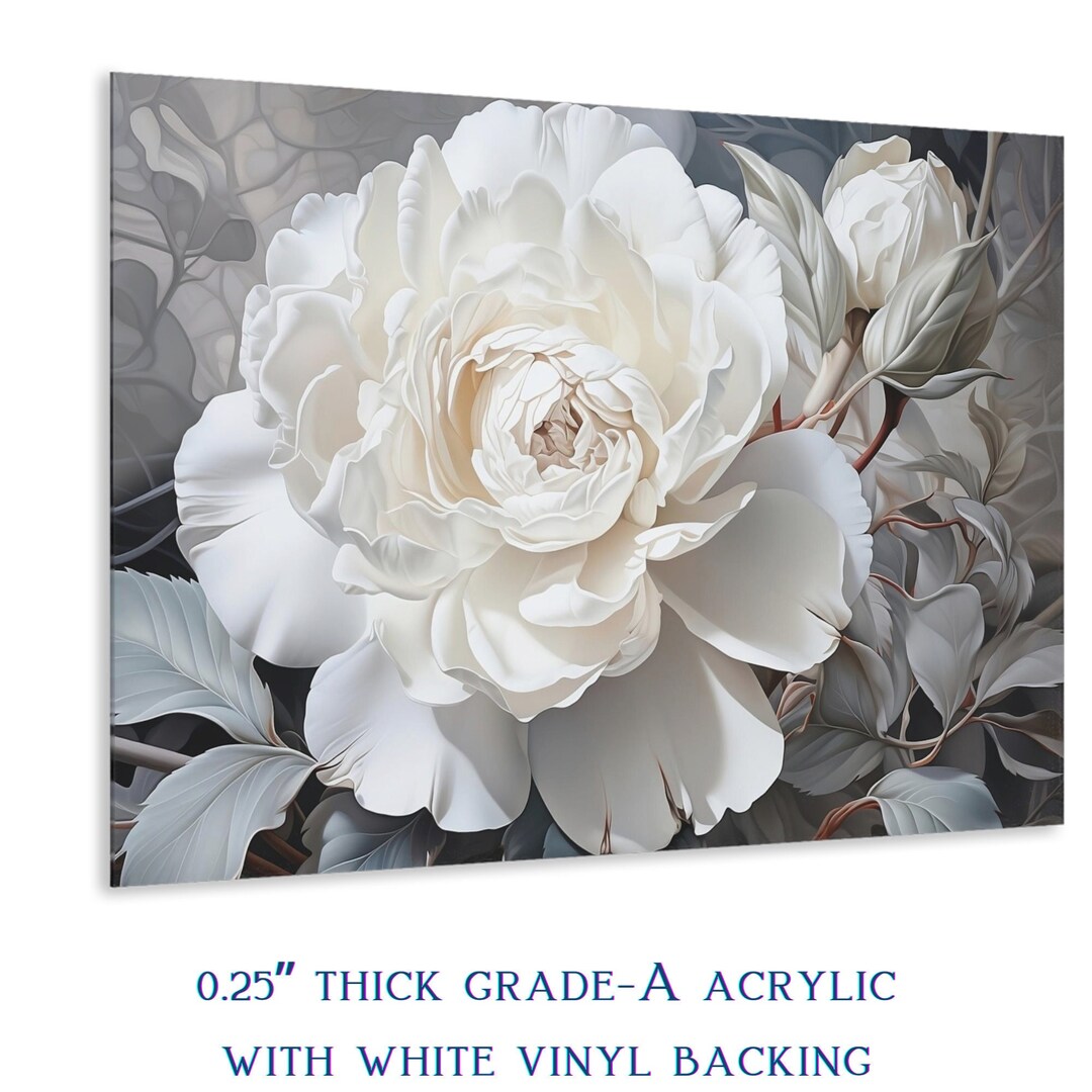 White Rose Bloom Canvas Acrylic Prints Botanical Poster Exotic Flowers ...