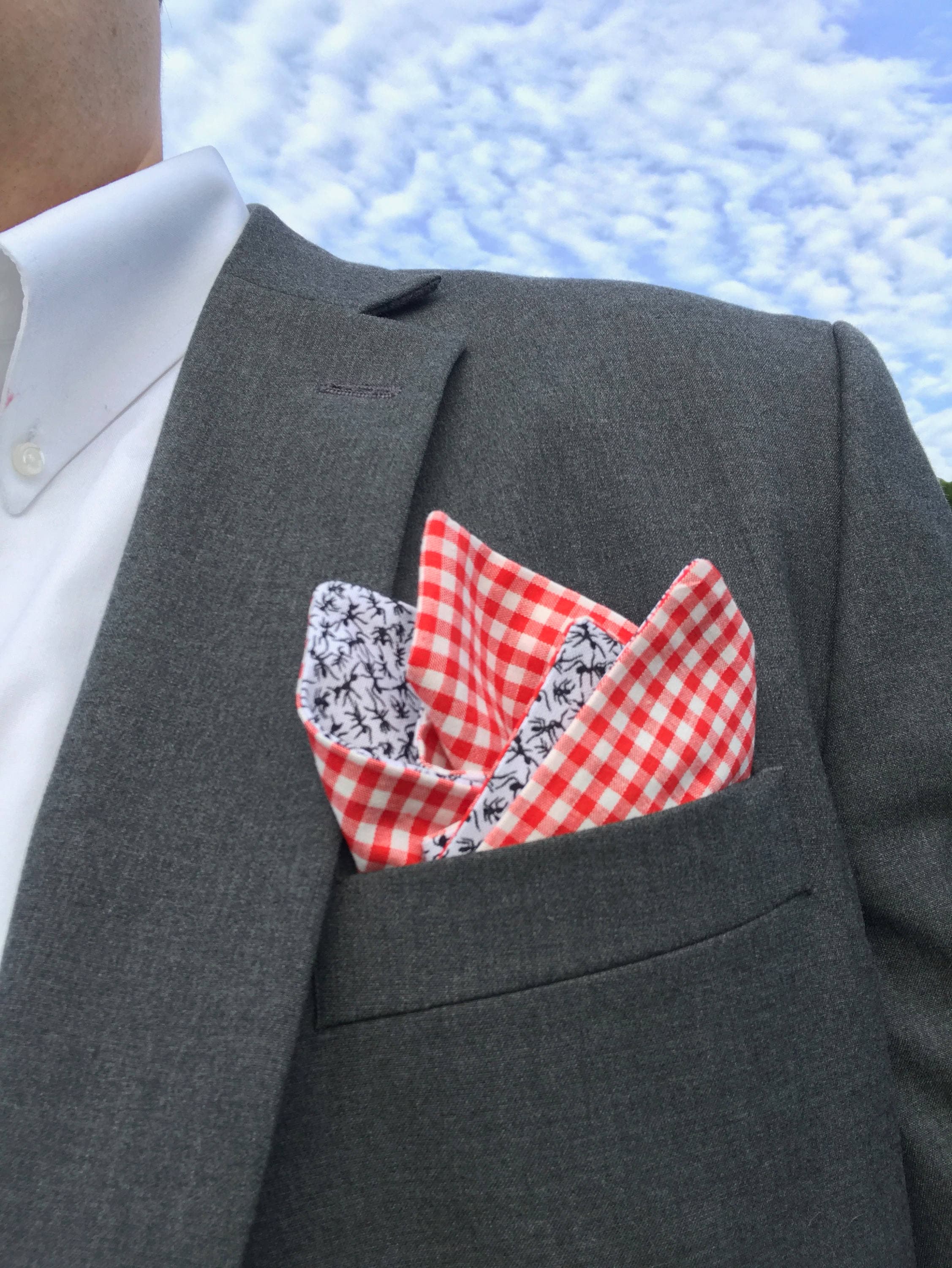 Ants Pocket Square, Picnic Pocket Square, Red Gingham Pocket Square ...