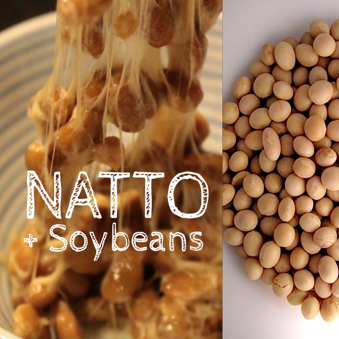 Natto Starter nattokinase Organic Fresh Live Starter Culture Dry ...