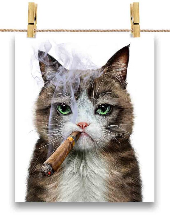 Cat Smoking Cigar