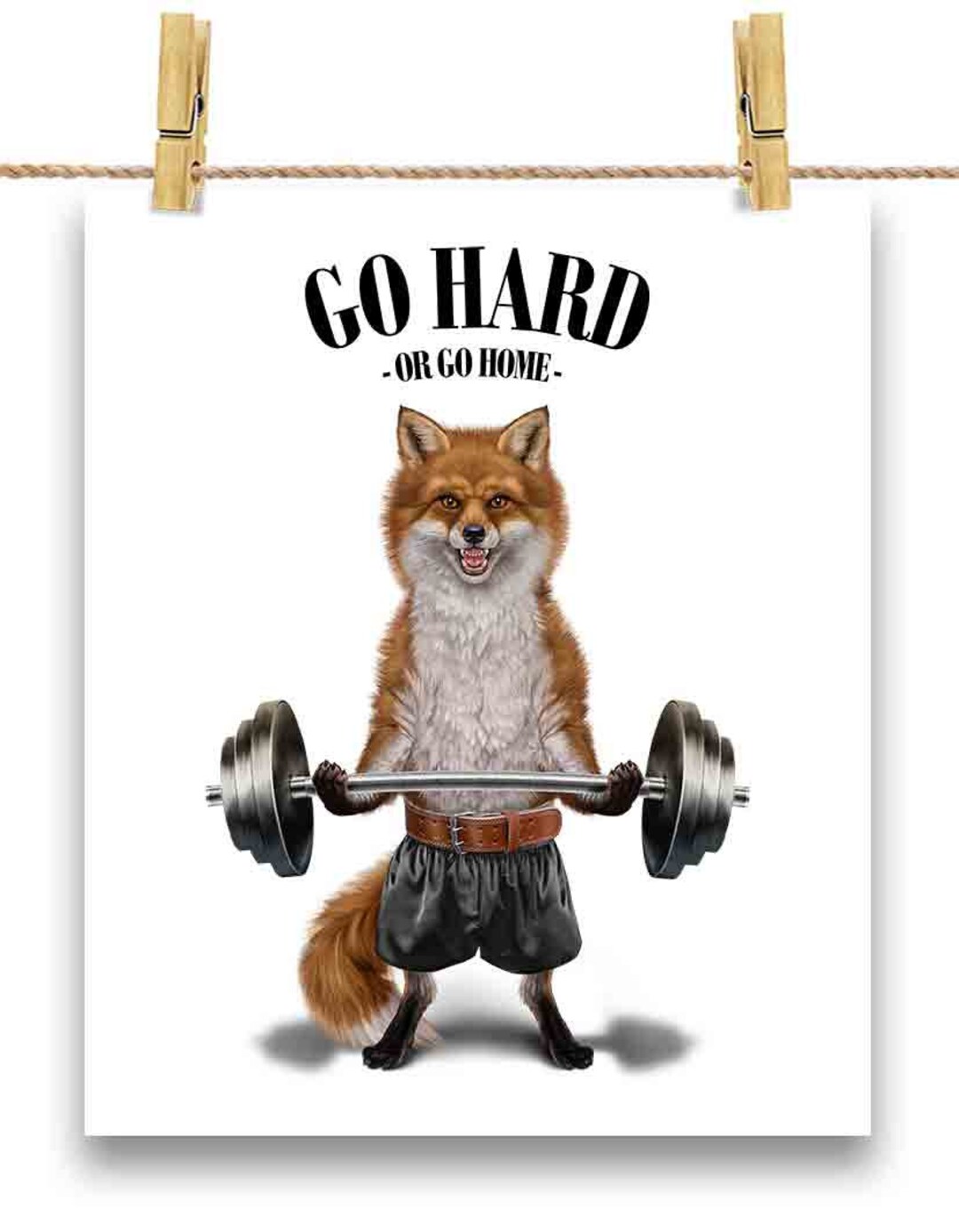 Fox Weightlifting in Fitness Gym Exercise Workout Inspirational ...