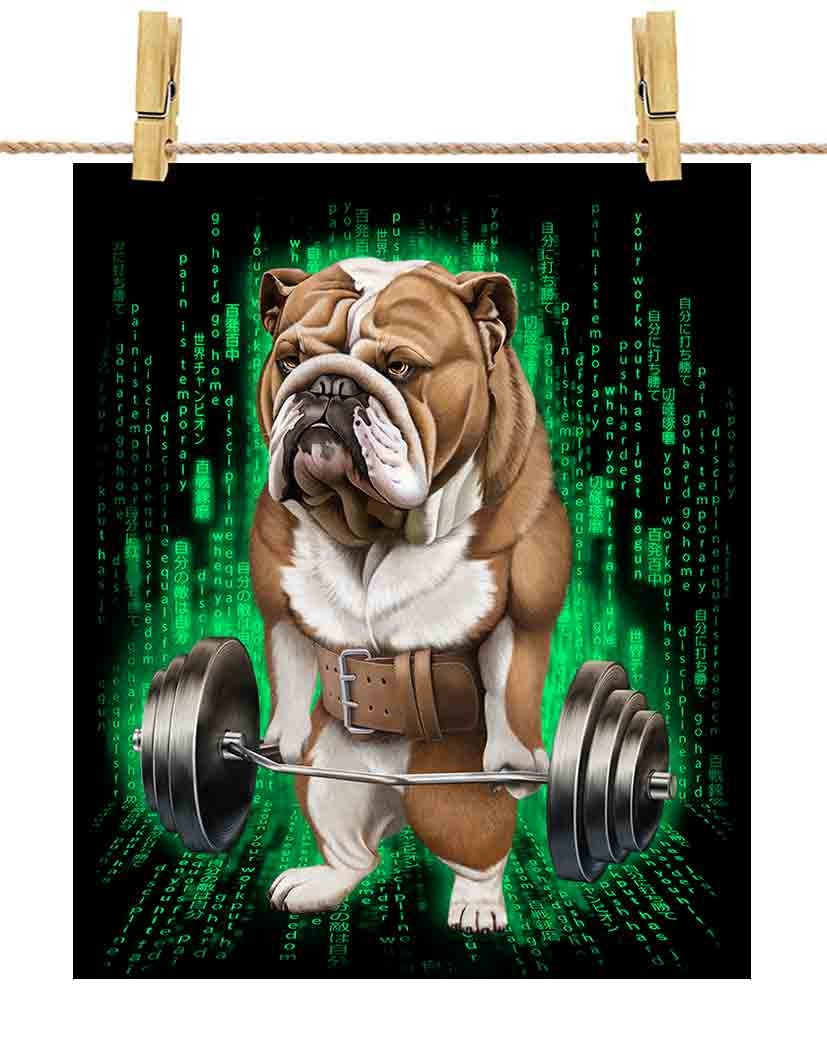 How Do You Discipline A Bulldog