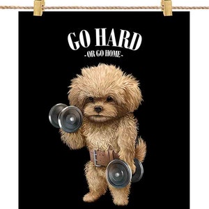 Toy Poodle Dog Muscle Training With Dumbbell in Fitness Gym - Poster ...