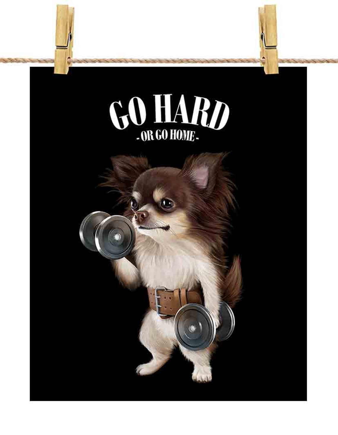 Chocolate Chihuahua Dog Muscle Training Weightlifting With Dumbbell ...